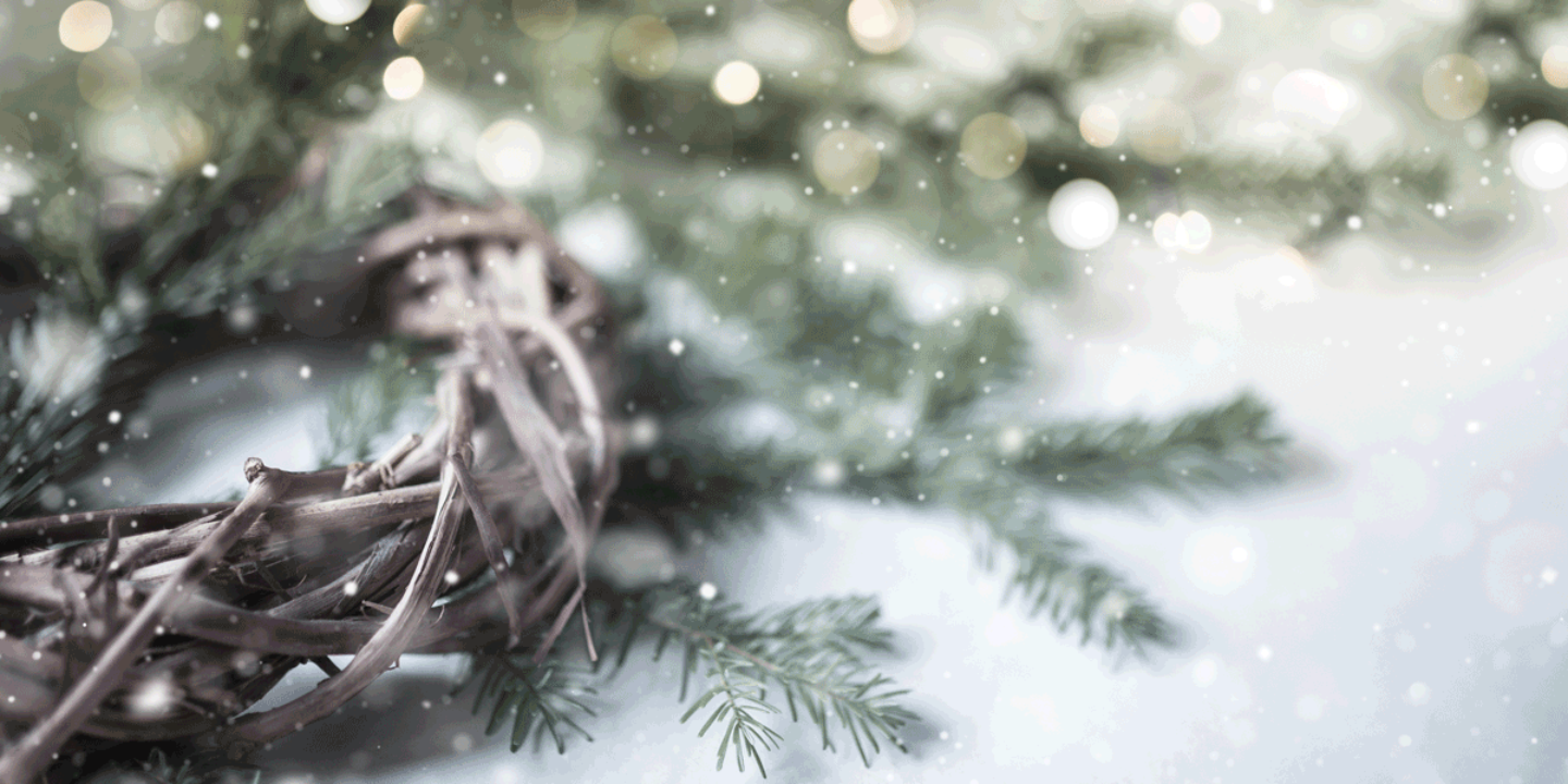 Janitos Versicherung | Smarte Tarife - Top in Preis und Leistung